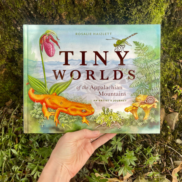 Tiny Worlds of the Appalachian Mountains: An Artist’s Journey Gallery ...
